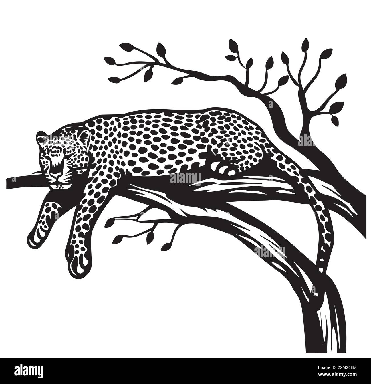 Animal illustration, lying leopard. black and white Stock Vector Image ...