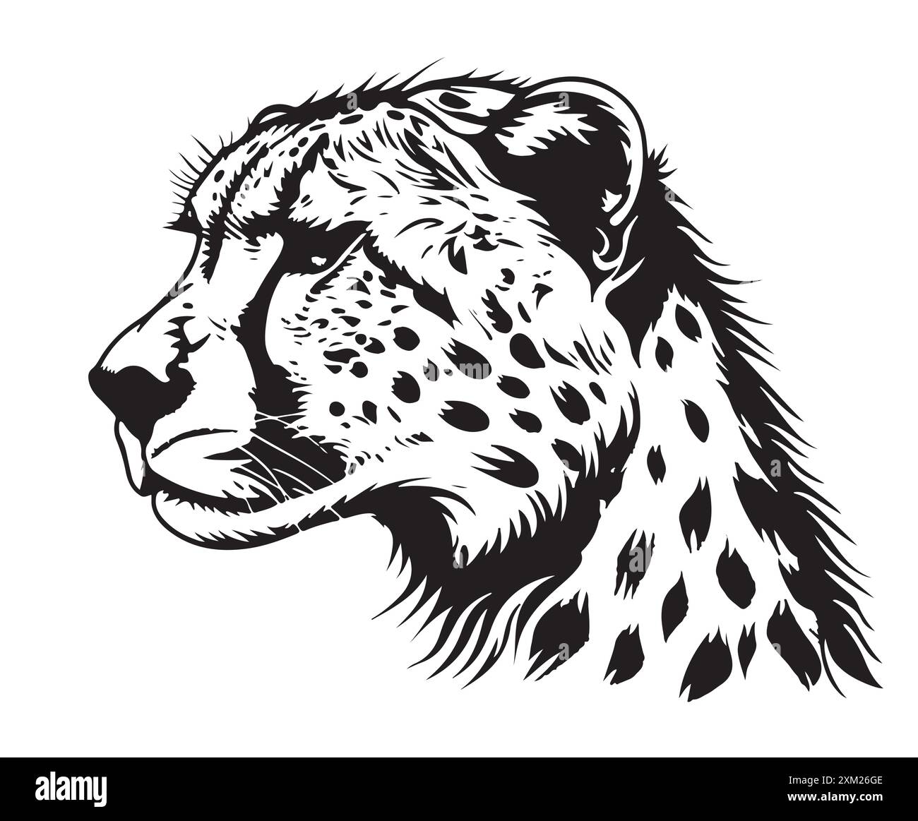 Cartoon cheetah head, Face , mascot or logo design, vector illustration ...