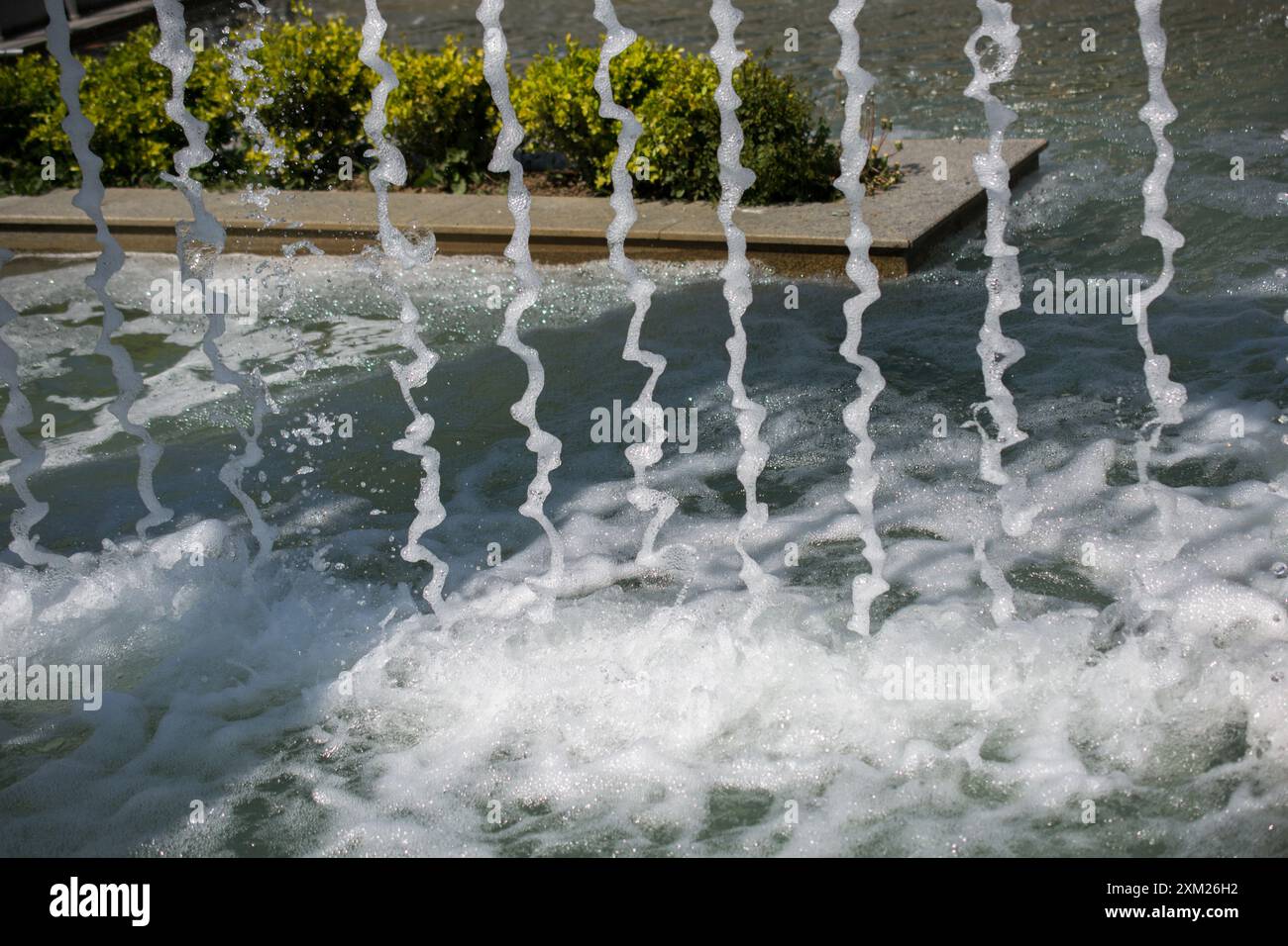 The fountains gushing sparkling water in a pool in a park Stock Photo ...