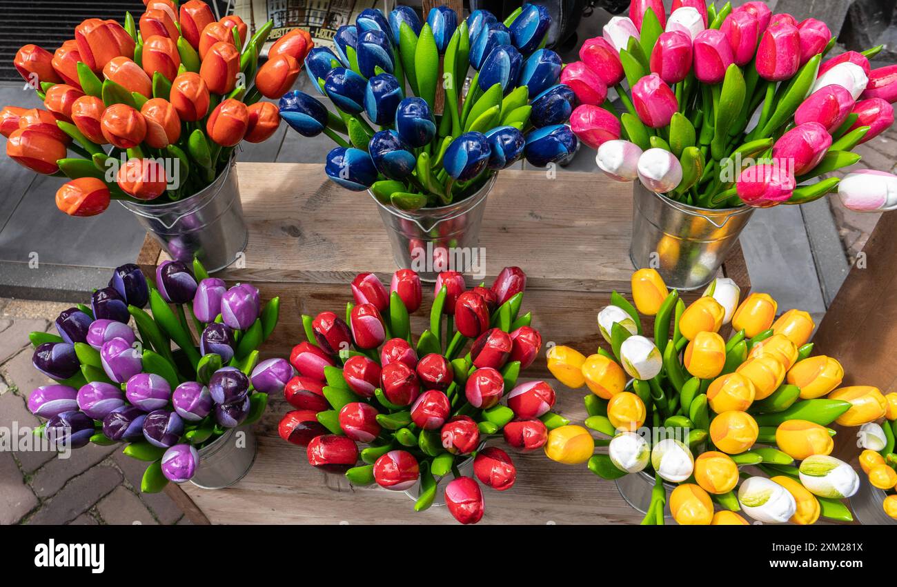 Panted wooden tulips in shop display in Volendam historic fishing ...
