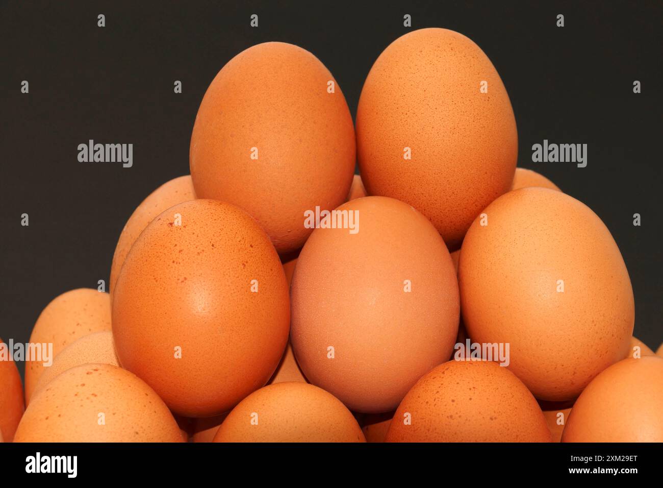 Bio ei hi-res stock photography and images - Alamy