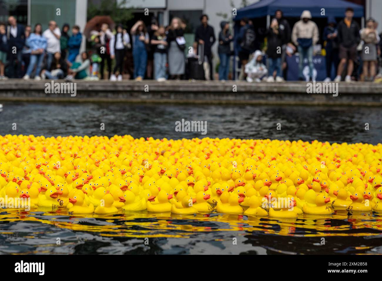 London, UK. 25 July 2024. Two to three thousand sponsored rubber ducks ...
