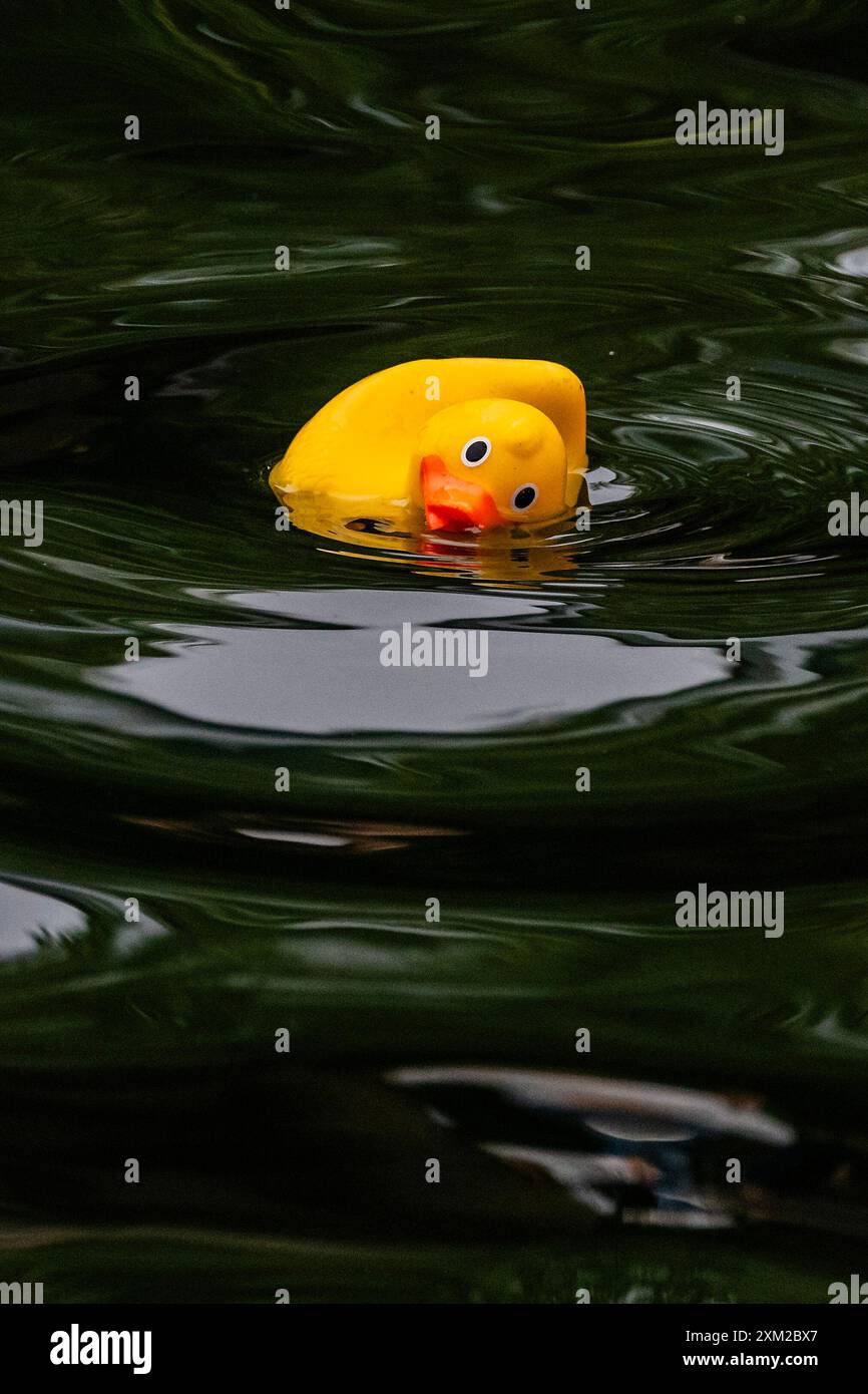 London, UK. 25th July, 2024. Around 3,000 rubber ducks are launched on ...