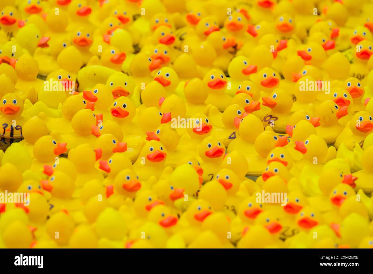 London, UK. 25th July, 2024. Around 3,000 rubber ducks are launched on ...