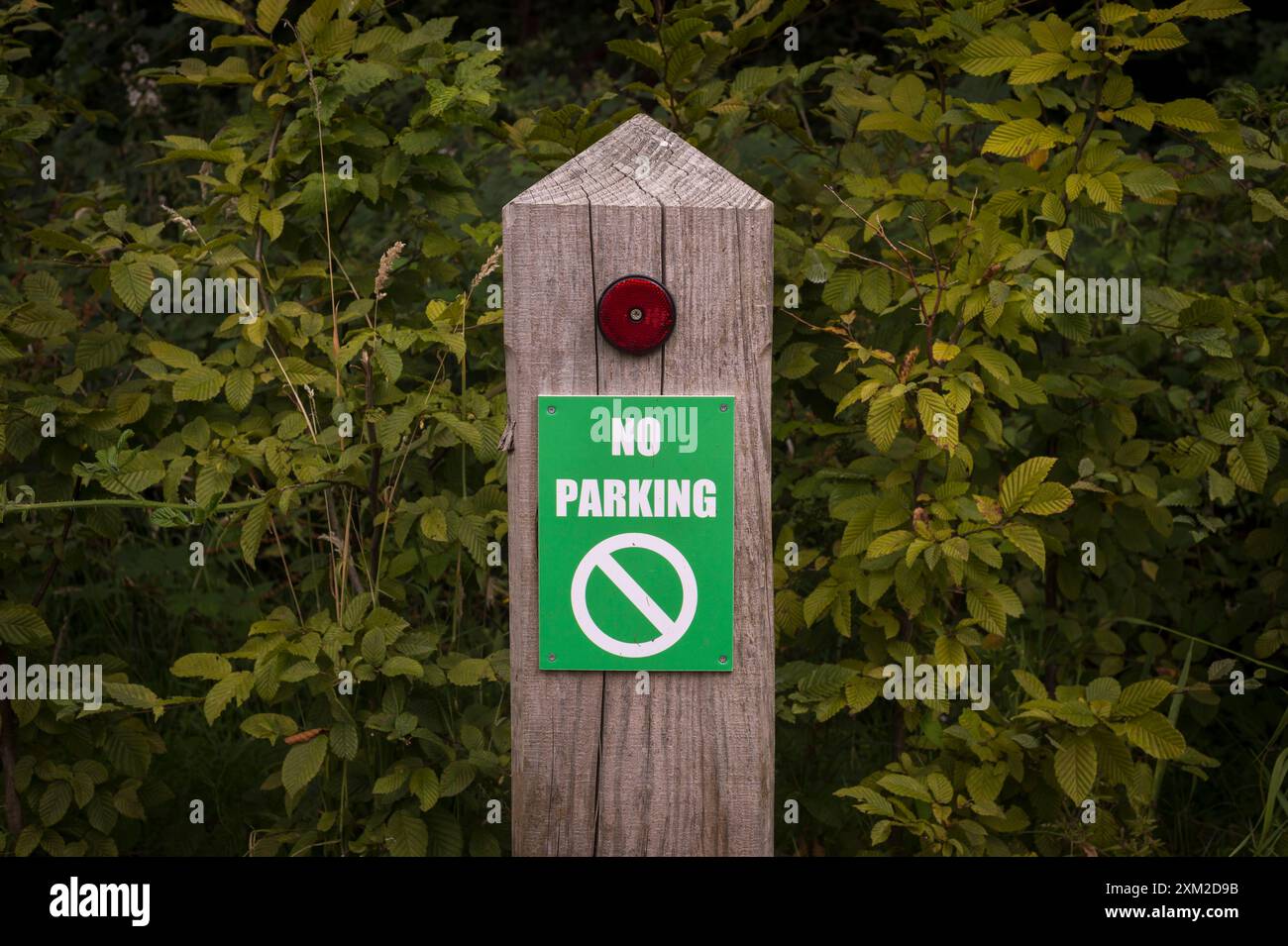 No parking sign board hi-res stock photography and images - Alamy