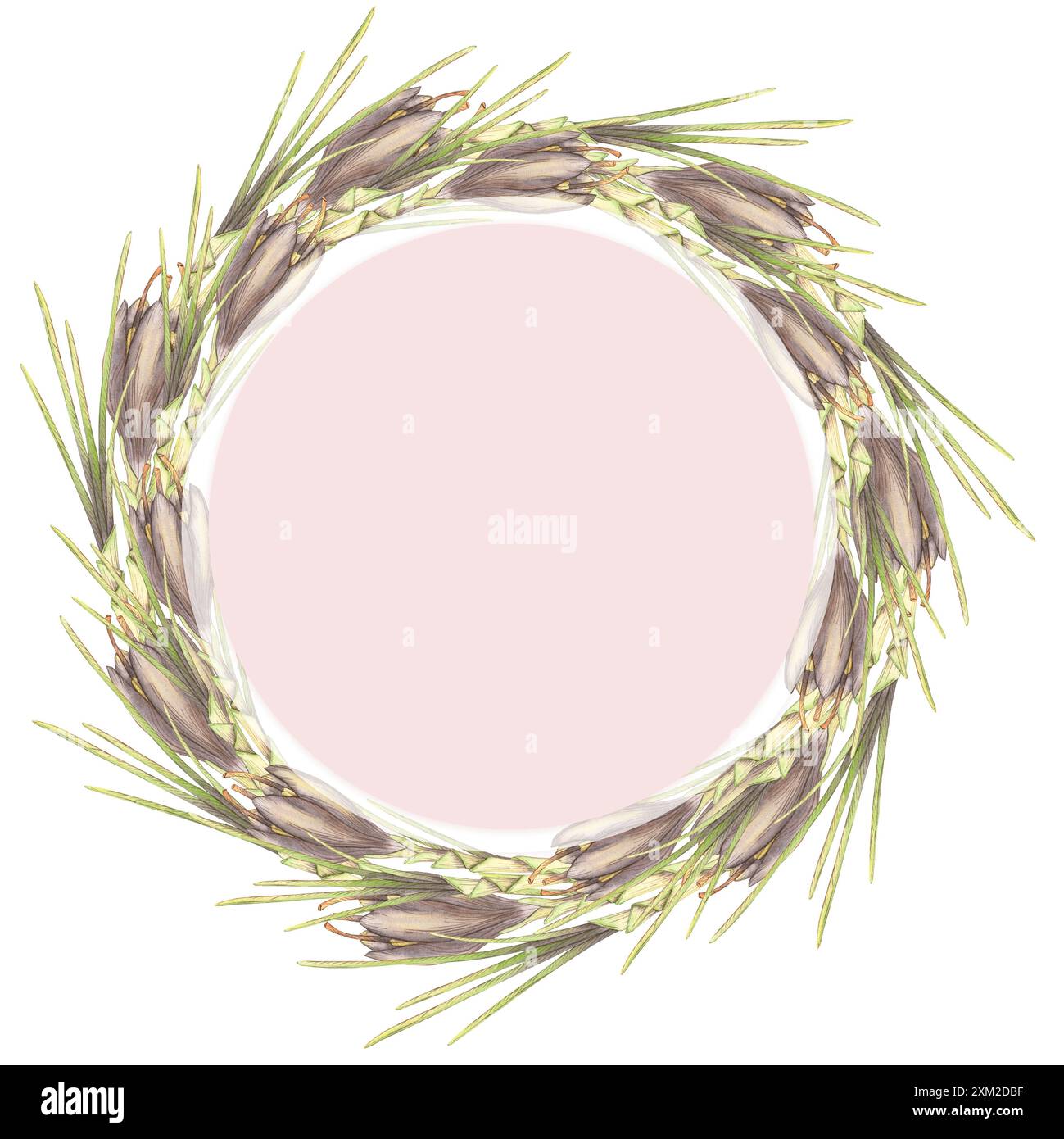 A frame with watercolor saffron flowers. Watercolor illustration of a ...