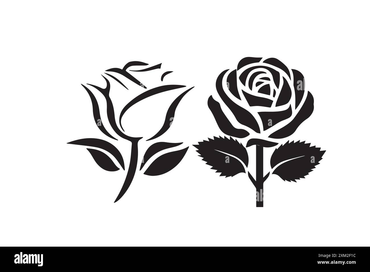 My beautiful rose Stock Vector Images - Alamy