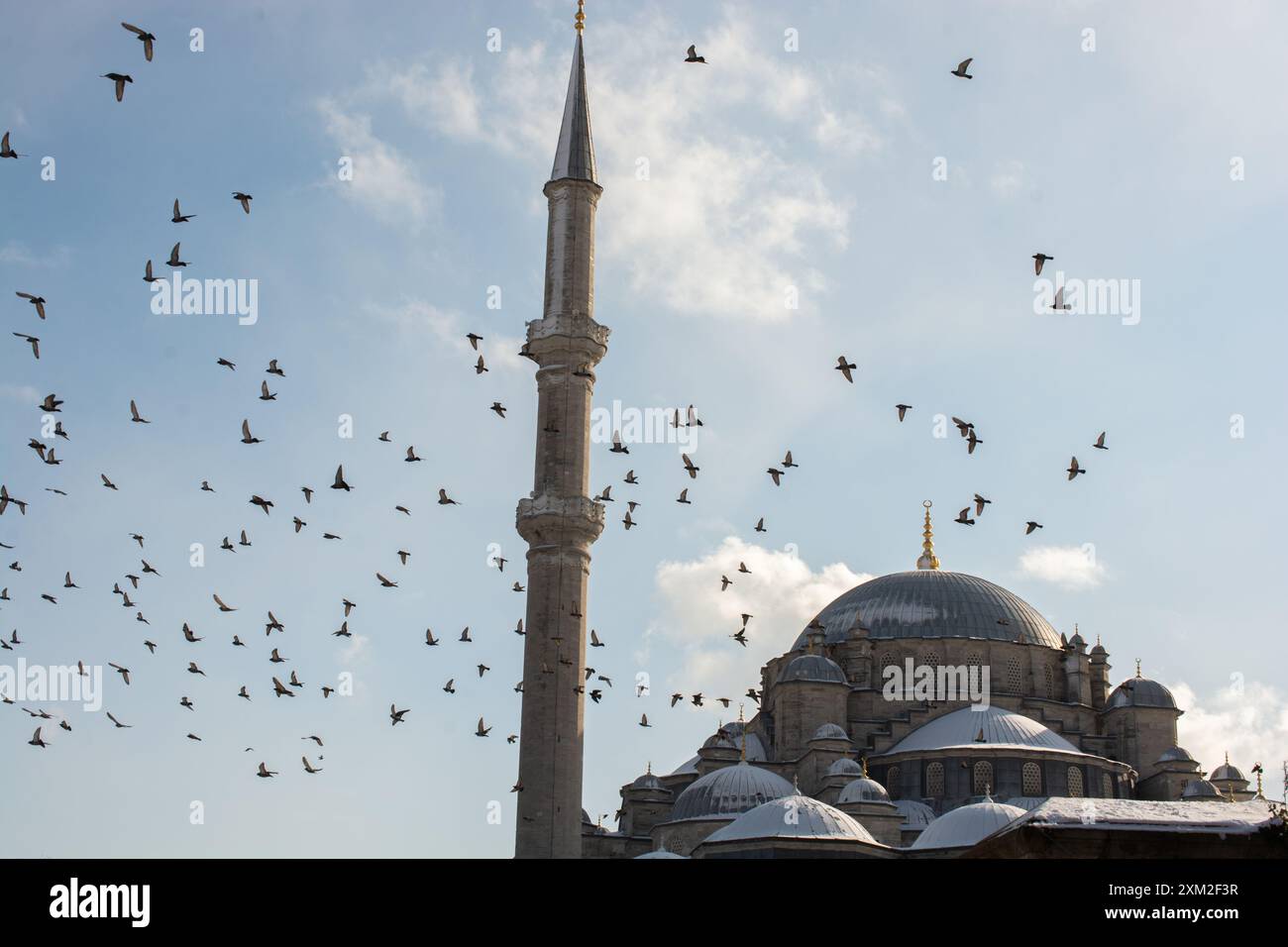 Birds fly around city hi-res stock photography and images - Alamy