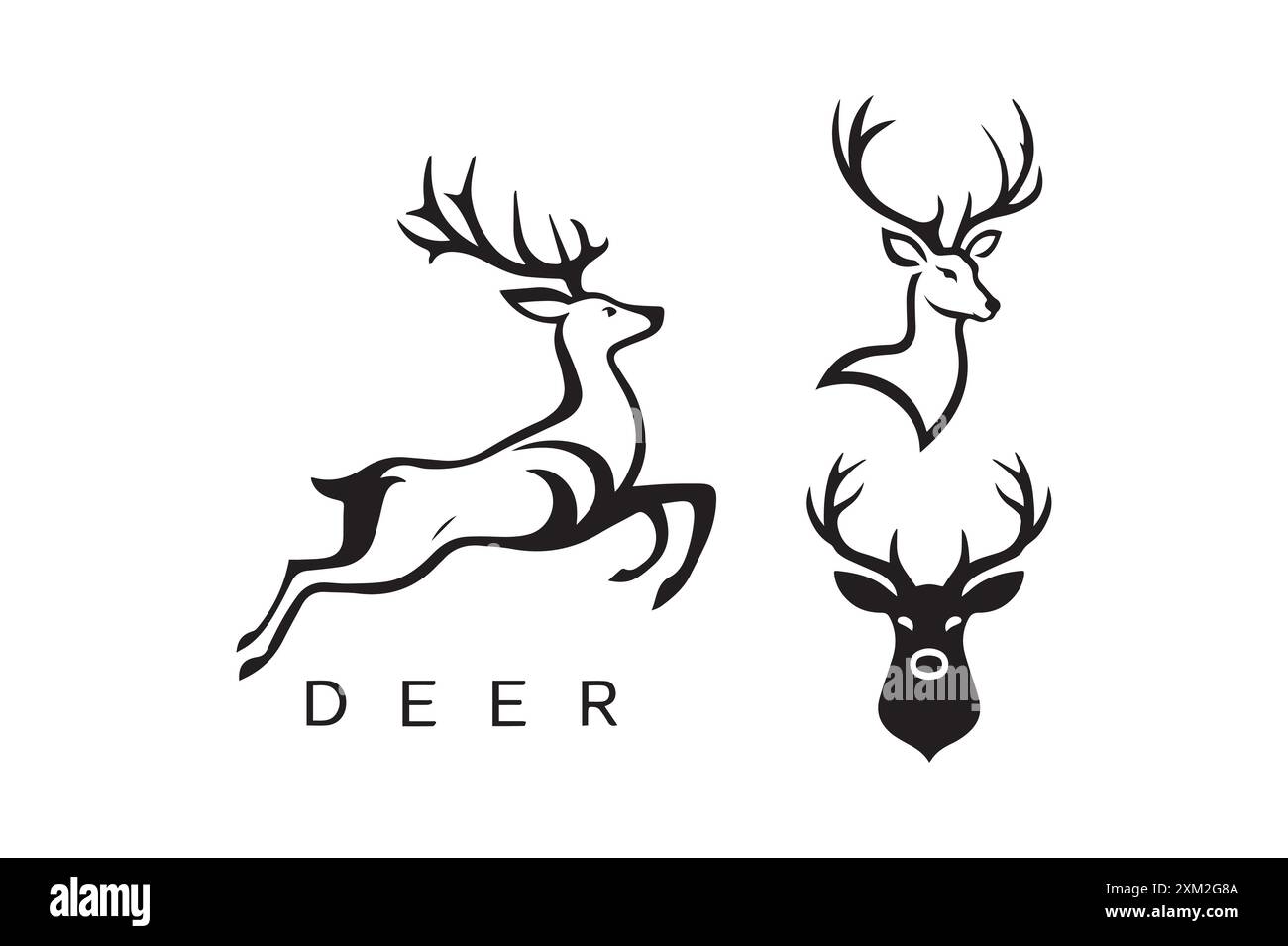Doe vector hi-res stock photography and images - Alamy
