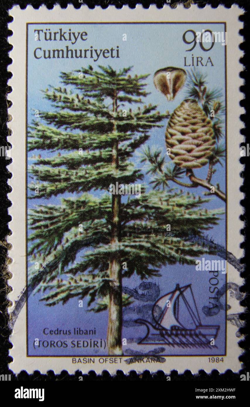 ISTANBUL, TURKEY - DECEMBER 26, 2020: Turkish stamp shows Cedar of ...