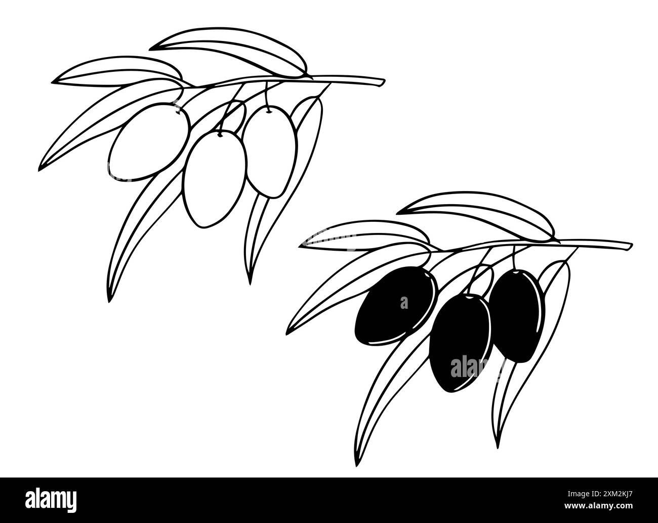 Ripe fruits Black and White Stock Photos & Images - Alamy