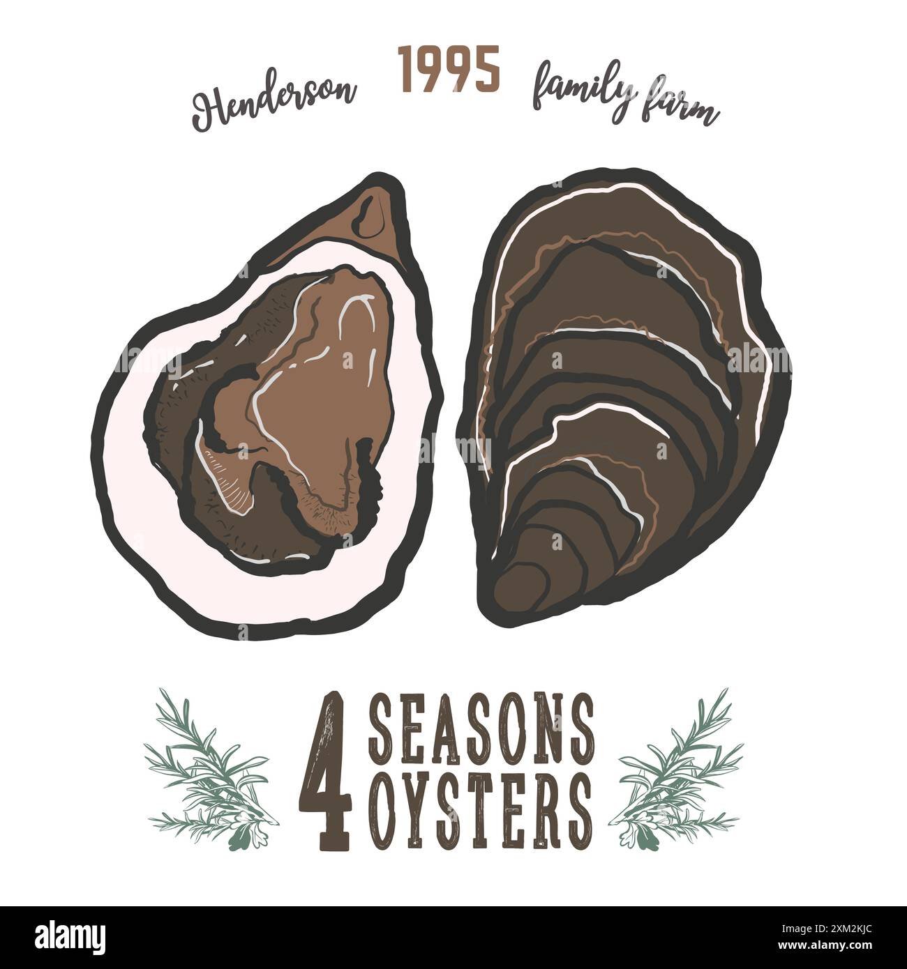 Hand drawn oysters isolated, white background. Vintage oyster shell ...
