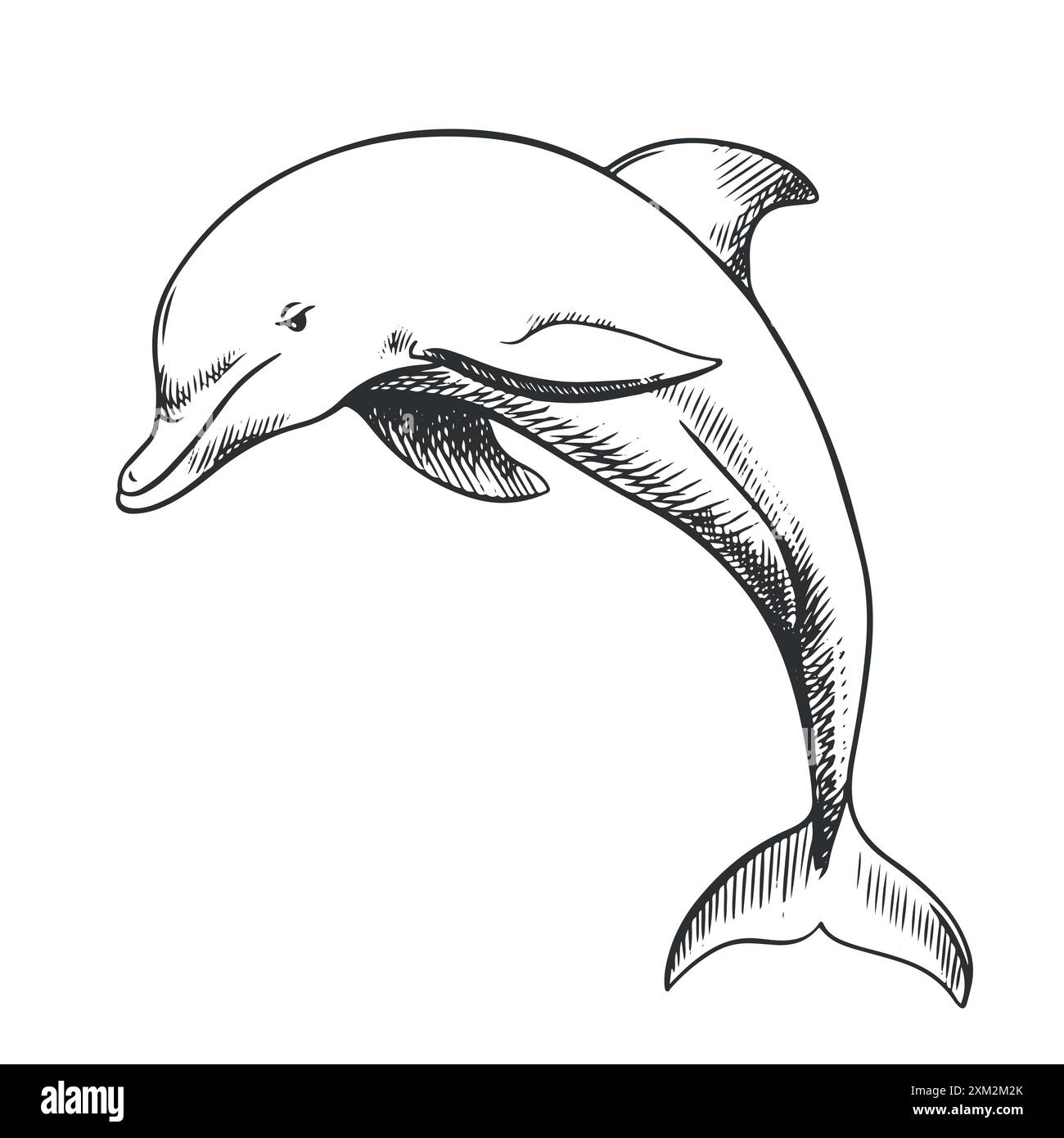 Simple dolphin design Black and White Stock Photos & Images - Alamy