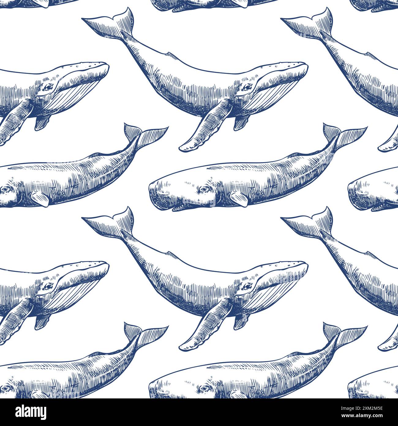 Vector seamless pattern with whales and sperm whales. Marine animals in ...