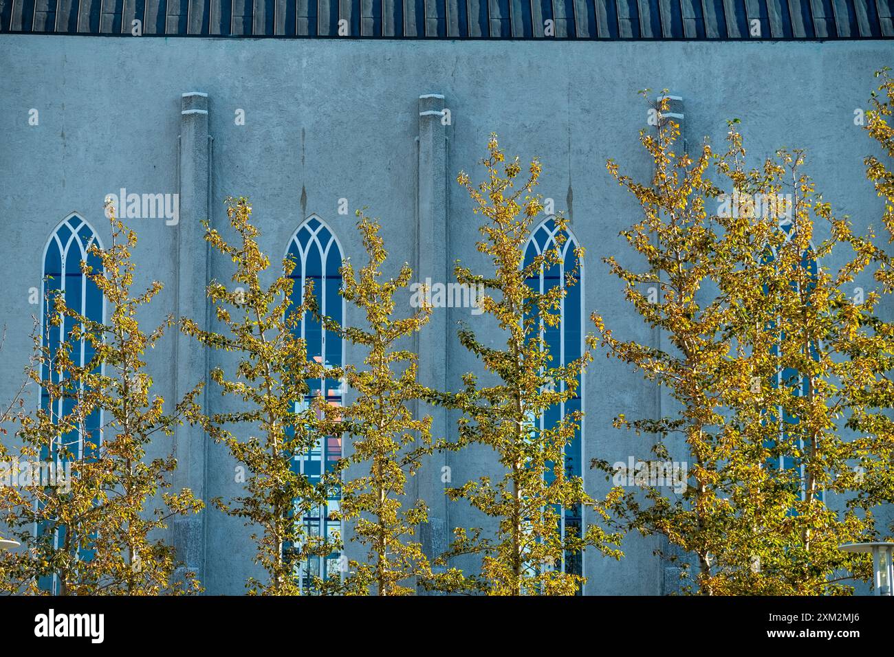 Golden autumn trees line up against a historic building with arched ...
