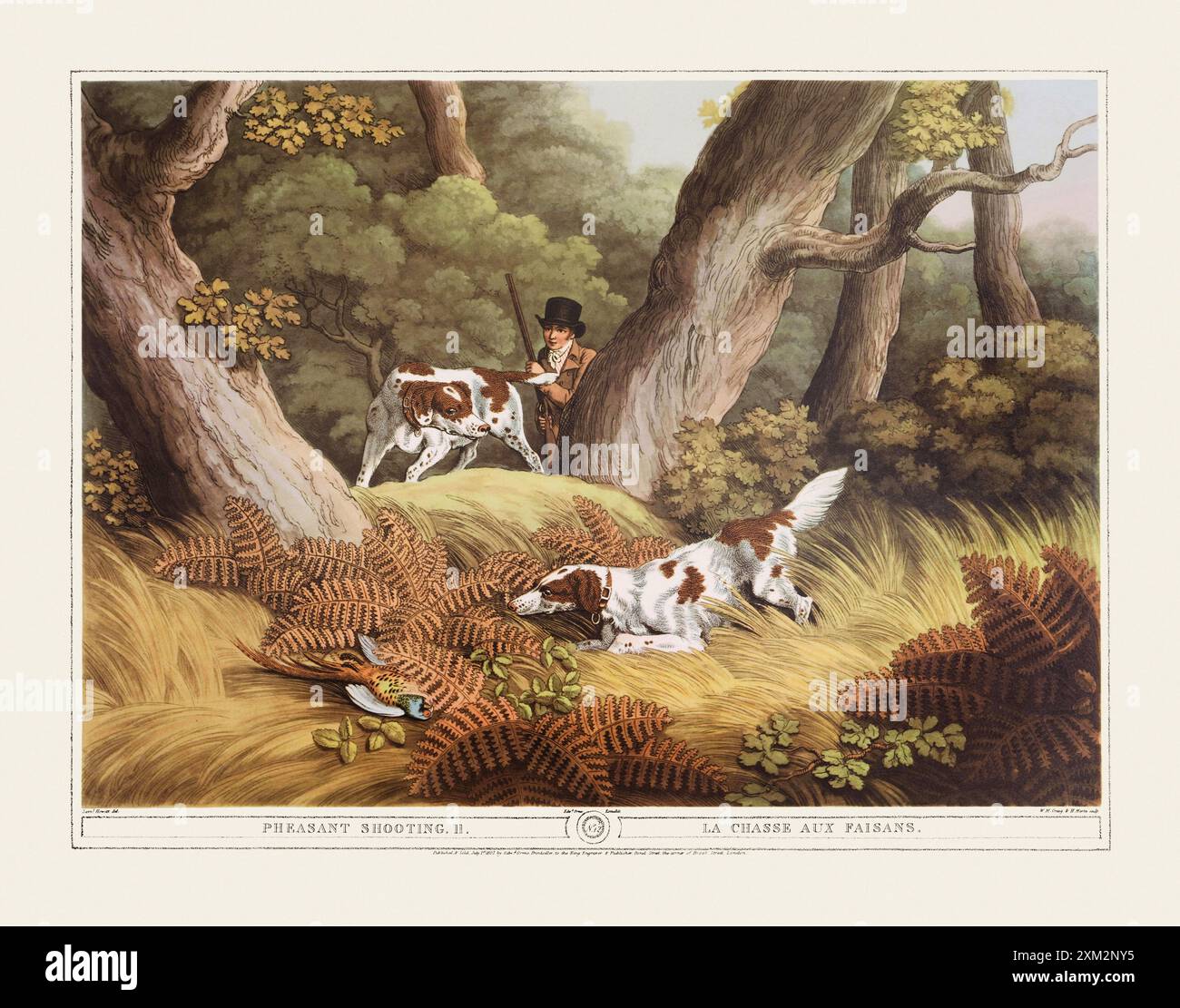 19th-century hunting illustration. Plate from an antique English ...