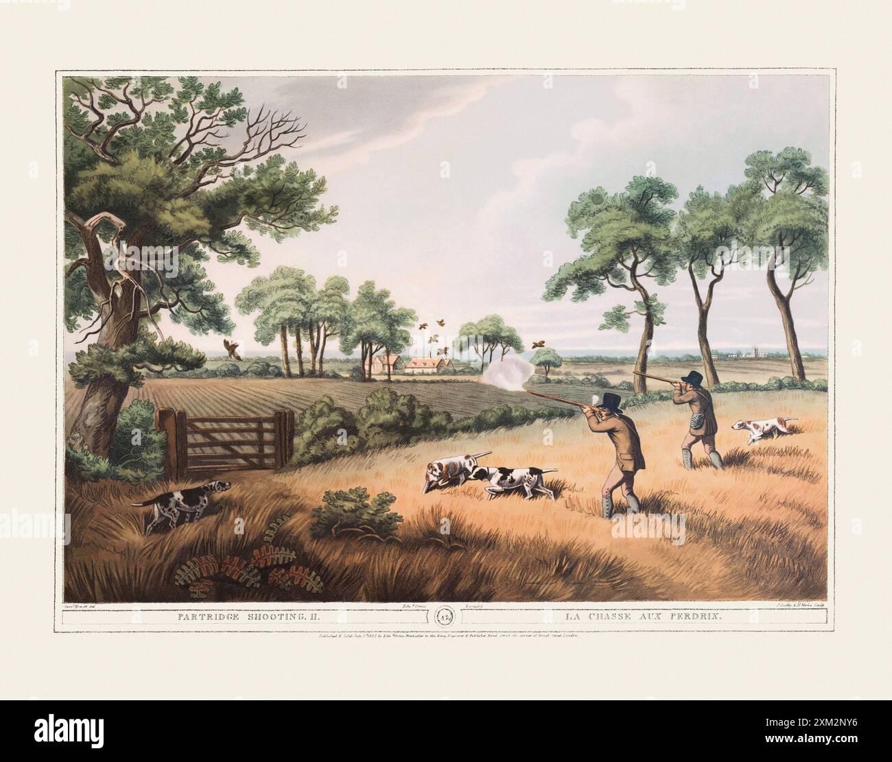 19th-century hunting illustration. Plate from an antique English ...