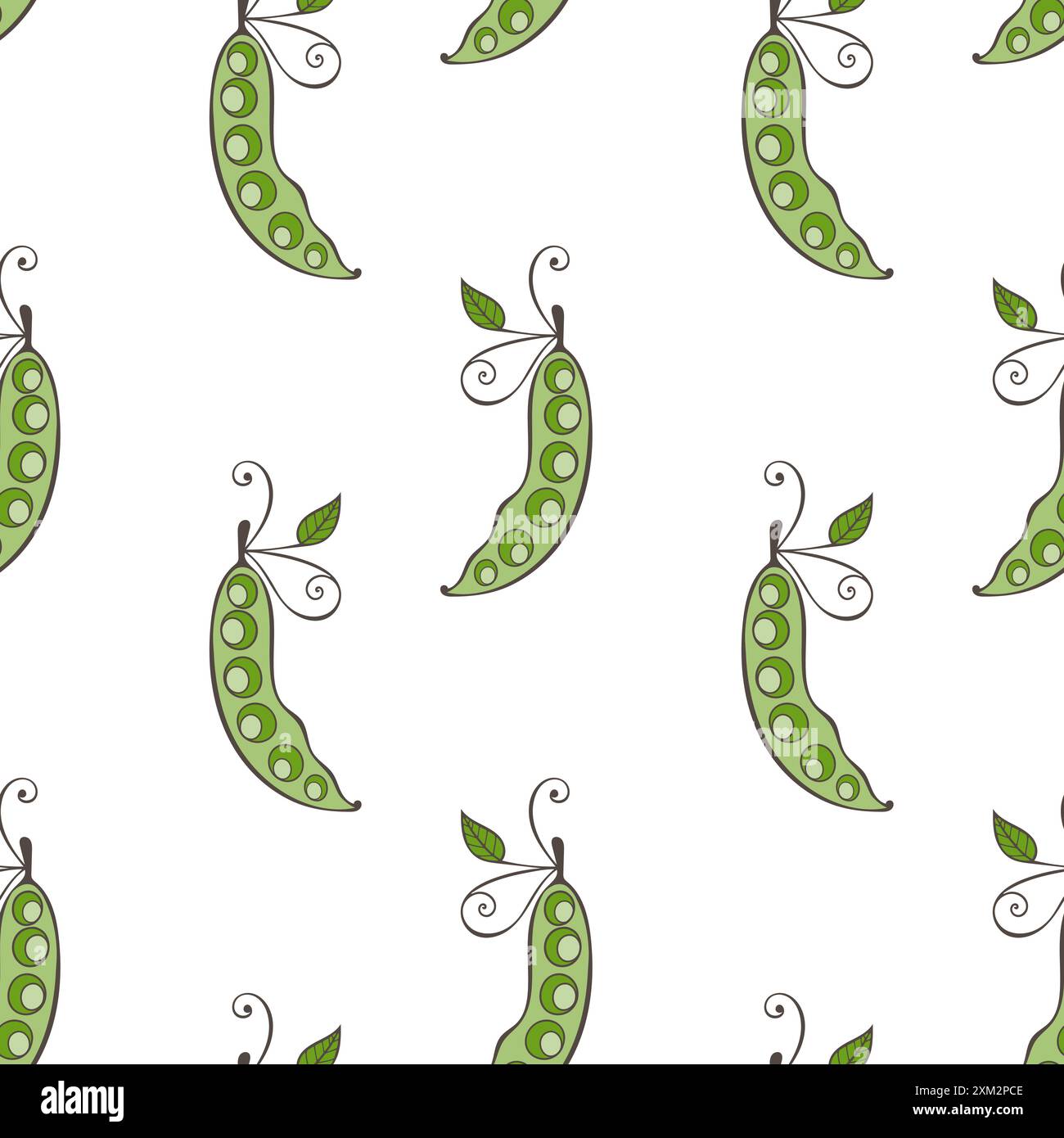 Pattern with branch of green Pea pods doodle , on white background ...