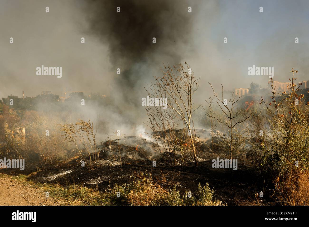 Forest and steppe fires dry completely destroy the fields and steppes ...