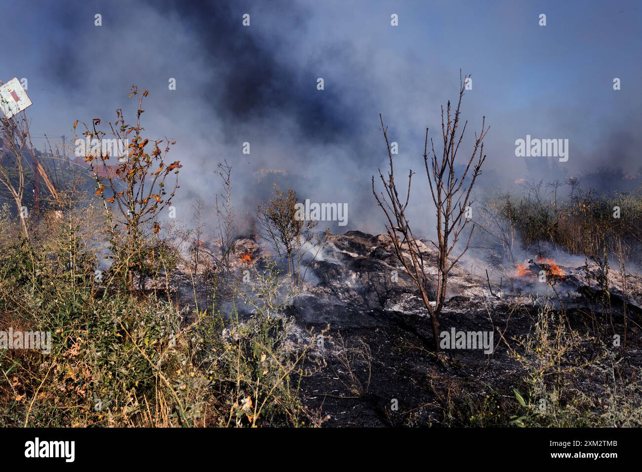 Forest and steppe fires dry completely destroy the fields and steppes ...