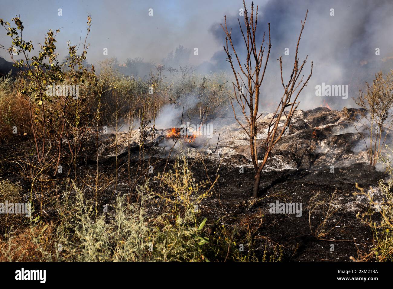 Forest and steppe fires dry completely destroy the fields and steppes ...