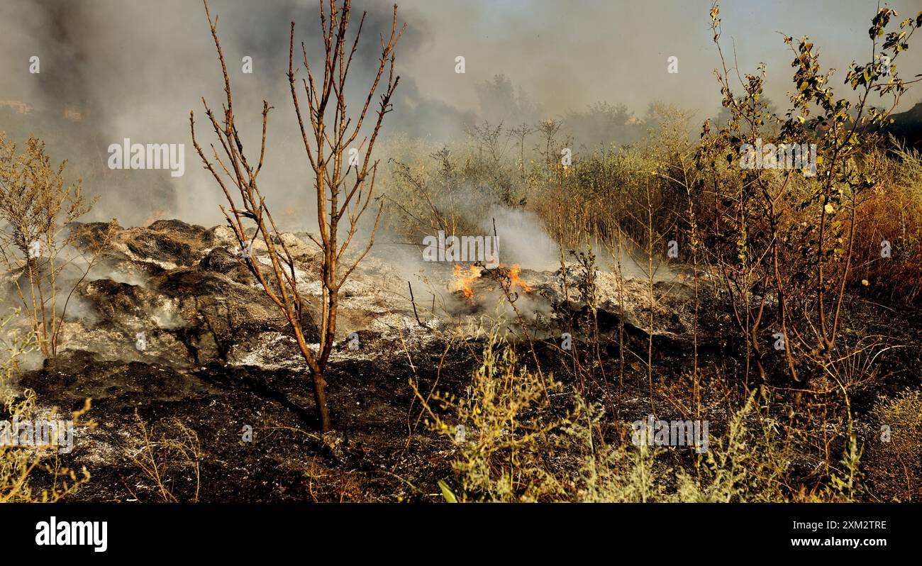 Forest and steppe fires dry completely destroy the fields and steppes ...