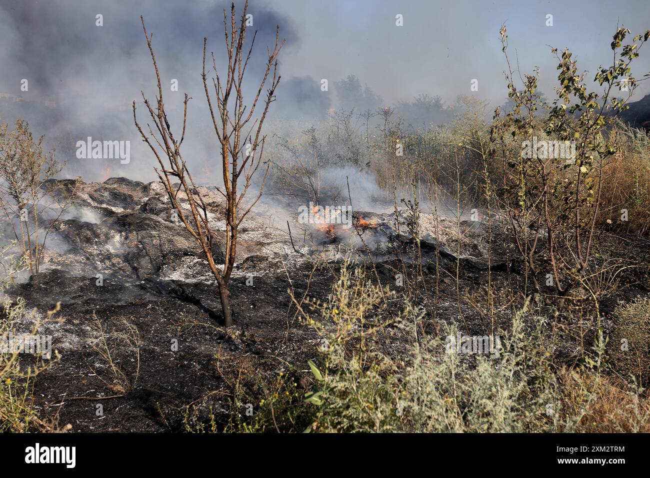 Forest and steppe fires dry completely destroy the fields and steppes ...