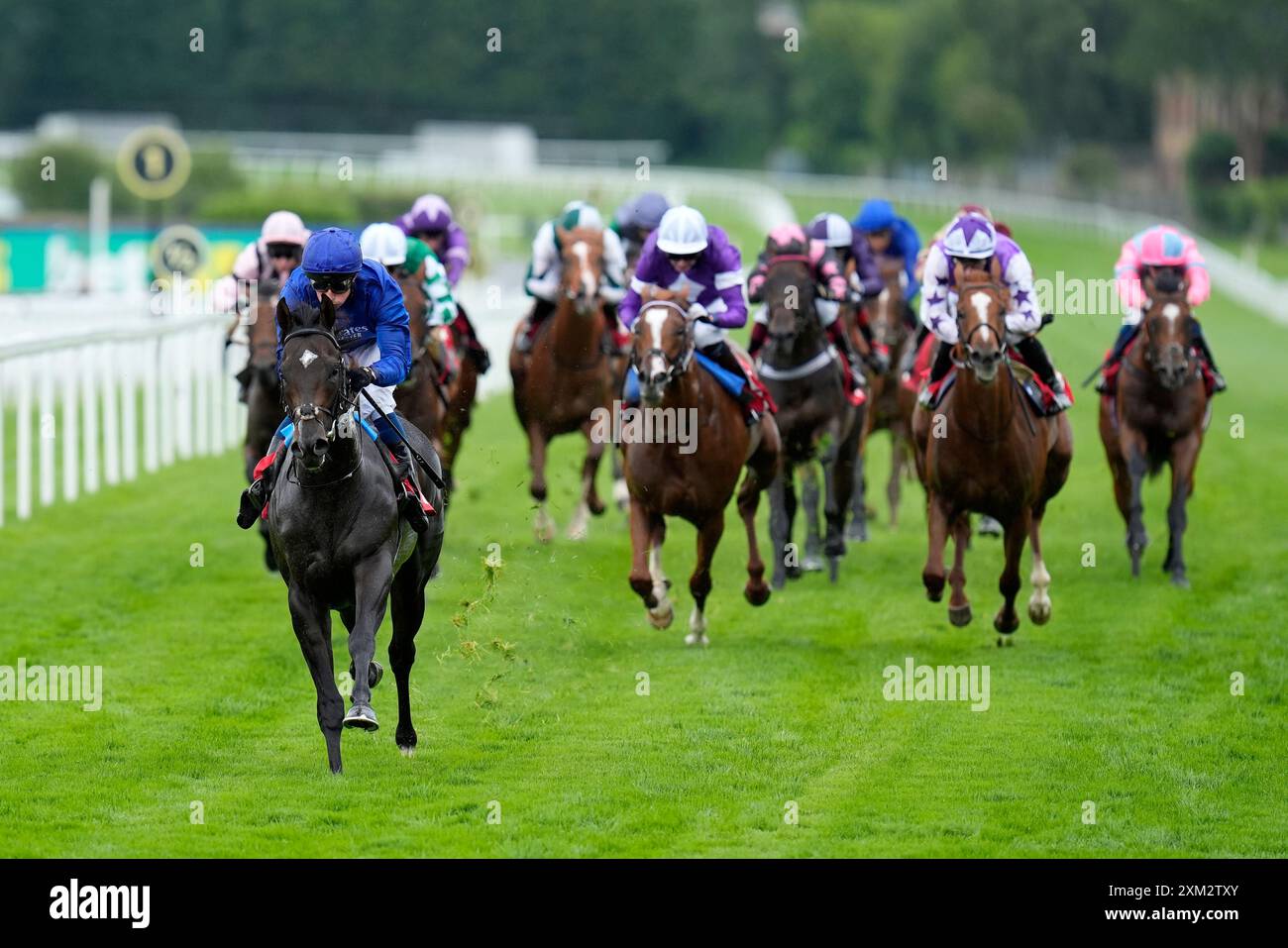 Ruling court horse racing hi-res stock photography and images - Alamy