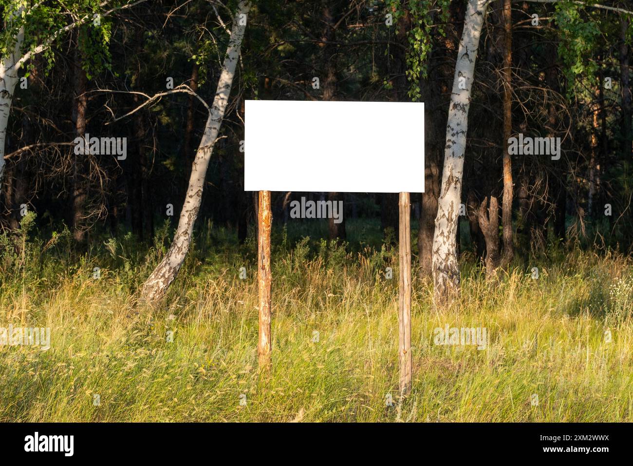 Blank signboard in the forest. Outdoor advertising mockup Stock Photo ...
