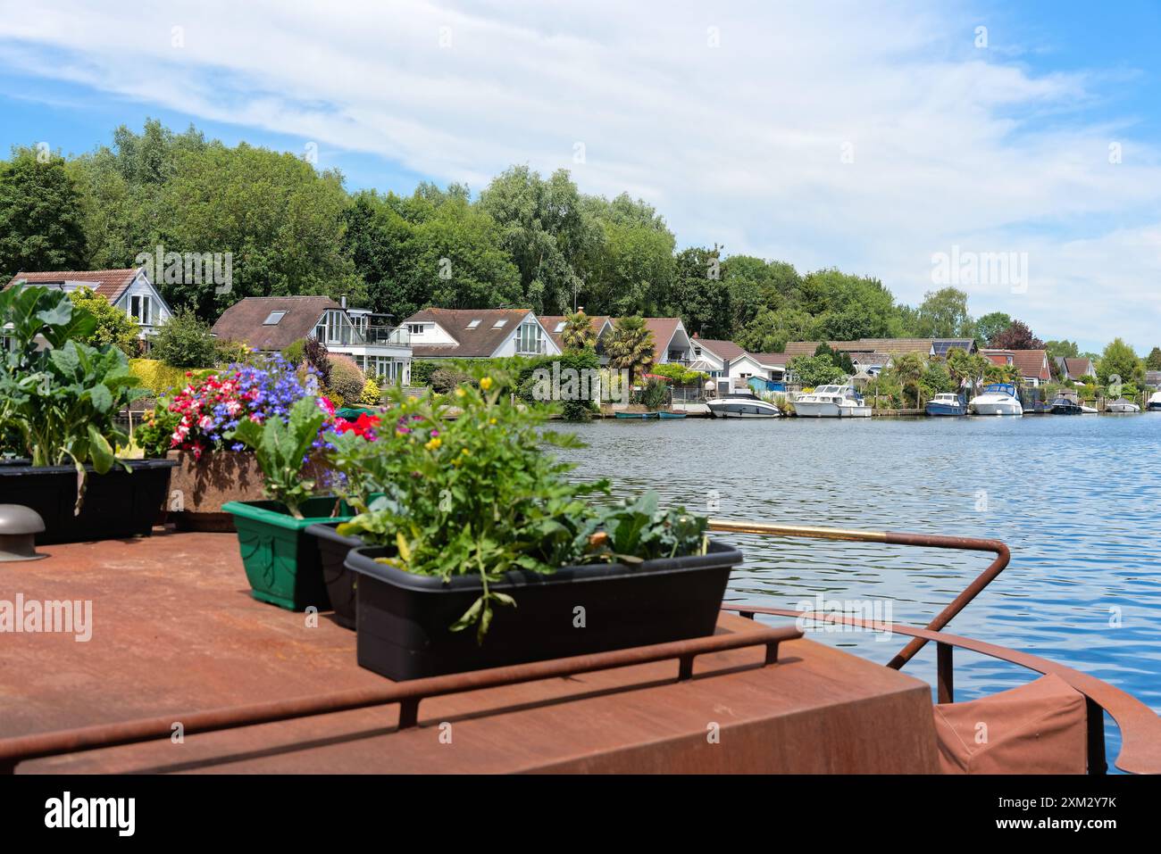 Sunny waterside hi-res stock photography and images - Alamy