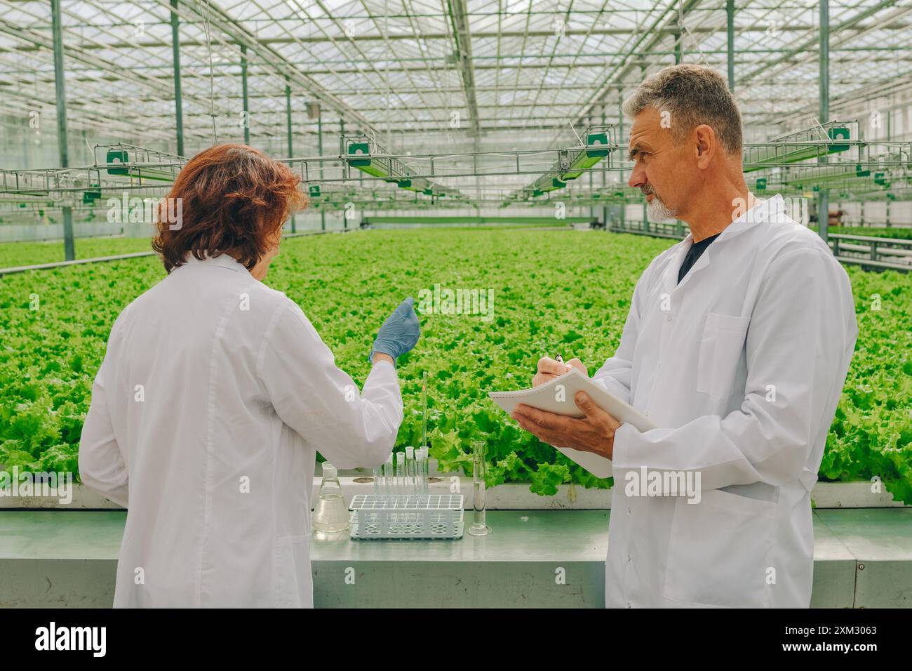 Biologists genetic engineering specialists take soil samples in ...