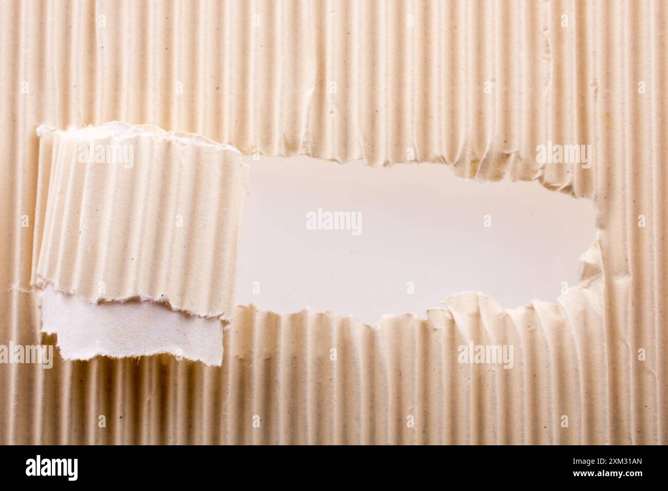 Rolled up torn paper on a white background Stock Photo - Alamy