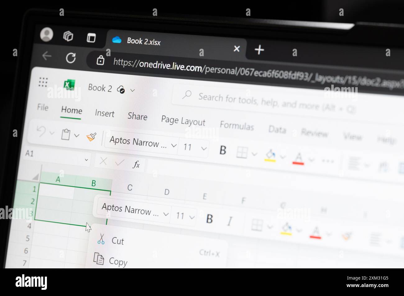New York, USA - July 19, 2024: Editing file in Microsoft office excel ...
