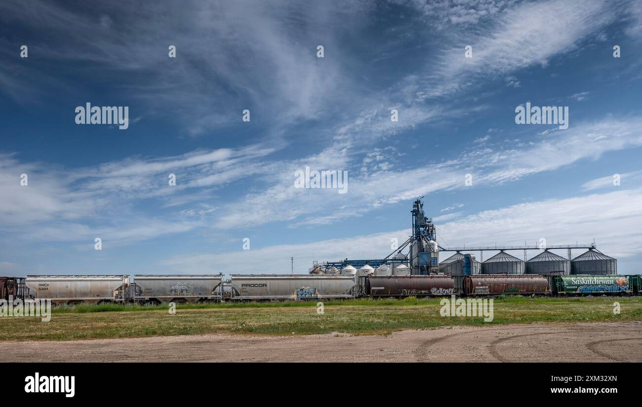 Assiniboia, Saskatchewan, Canada – July, 06, 2024: Freight train parked at a grain terminal ...