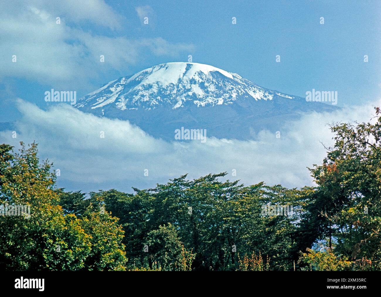 Kilimandscharomassivs hi-res stock photography and images - Alamy