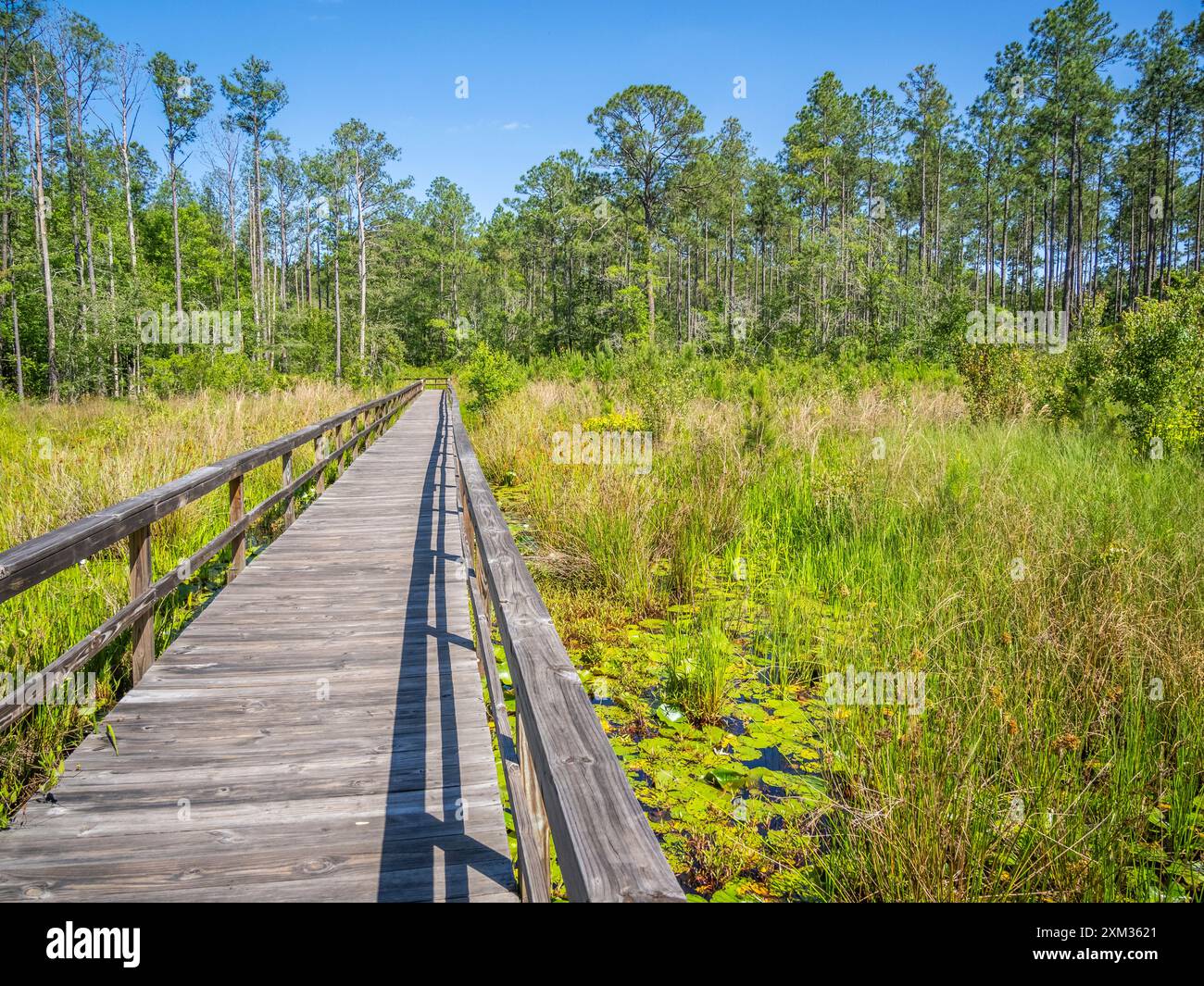 Grand bay boardwalk hi-res stock photography and images - Alamy