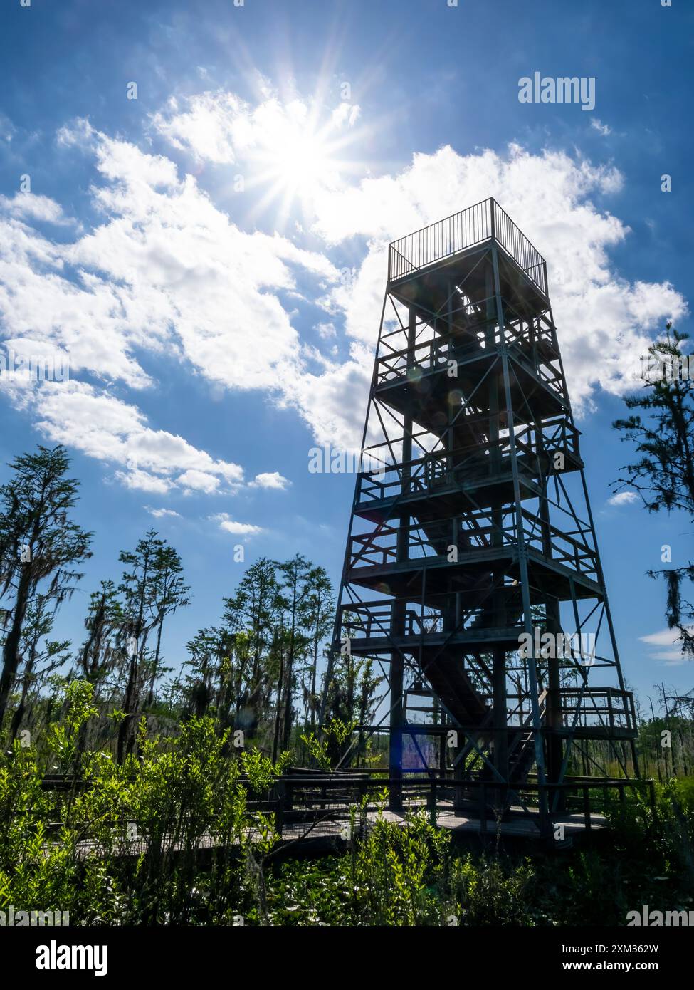 Observation tower at end of the Grand Bay Boardwalk in the Grand Bay ...