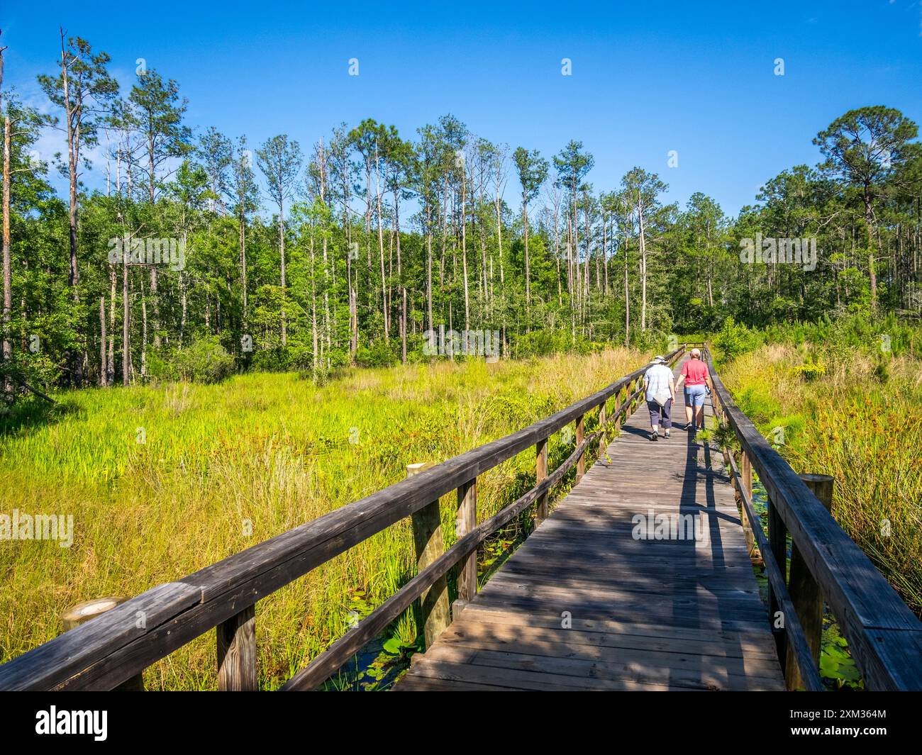 Grand Bay Boardwalk in the Grand Bay Wildlife Management Area in ...