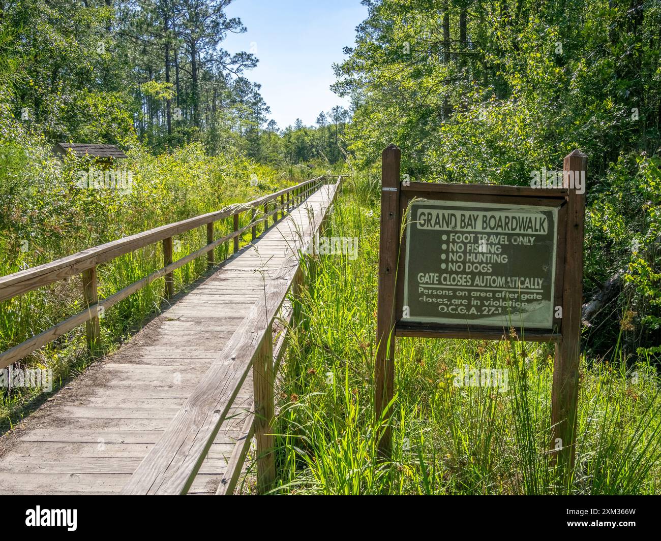 Grand Bay Boardwalk in the Grand Bay Wildlife Management Area in ...