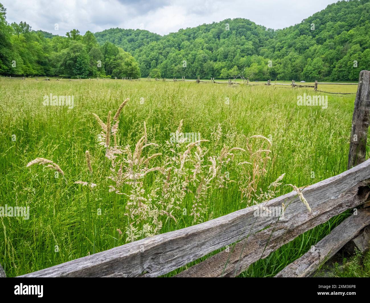 Wooden fence and open field at the Mountain Farm Museum at the ...