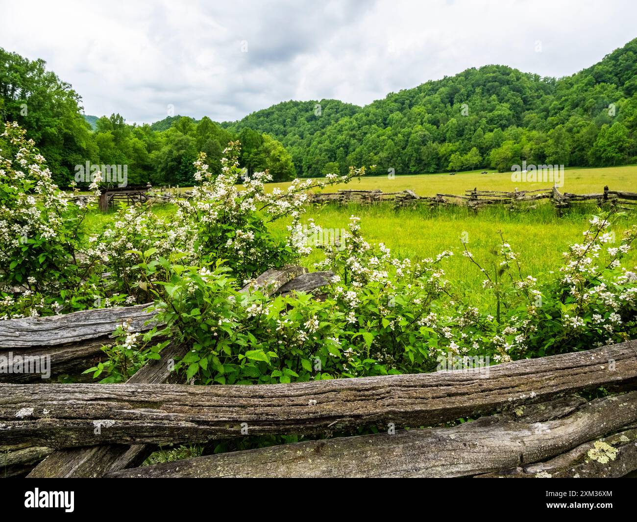 Wooden fence and open field at the Mountain Farm Museum at the ...