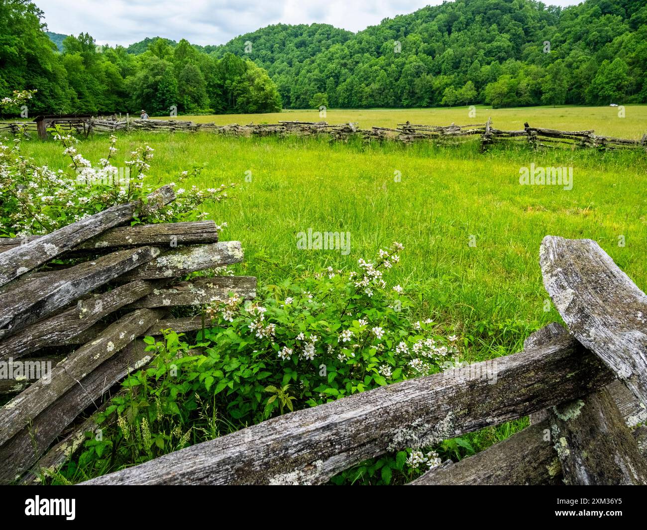 Wooden fence and open field at the Mountain Farm Museum at the ...