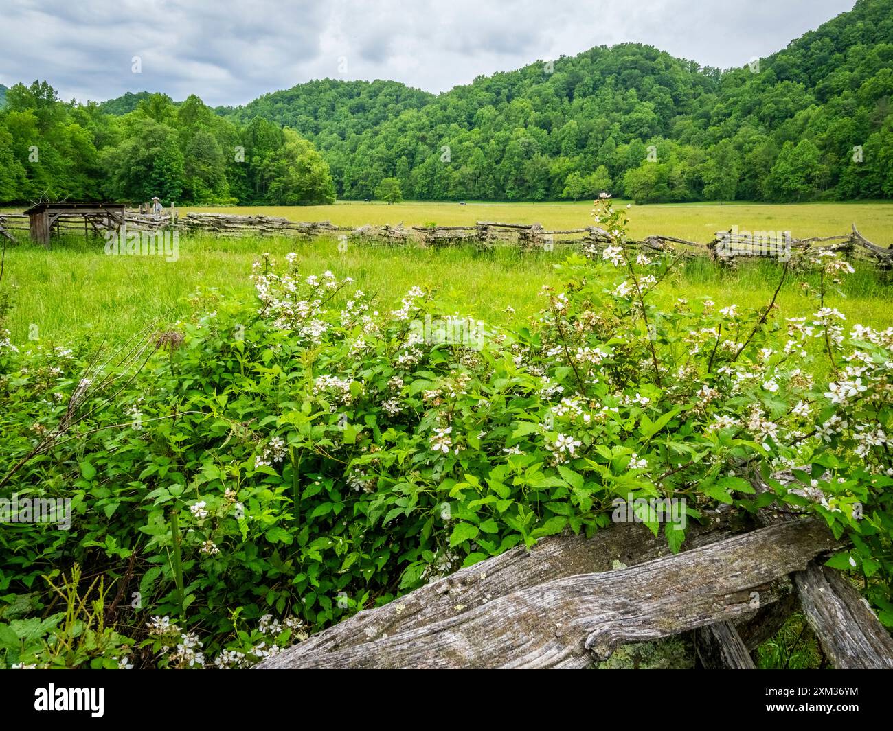 Wooden fence and open field at the Mountain Farm Museum at the ...