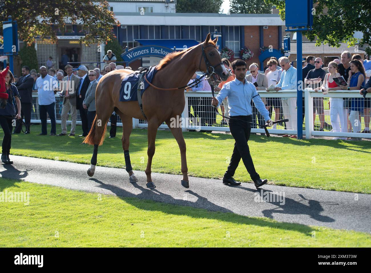 Star of mehmas hi-res stock photography and images - Alamy