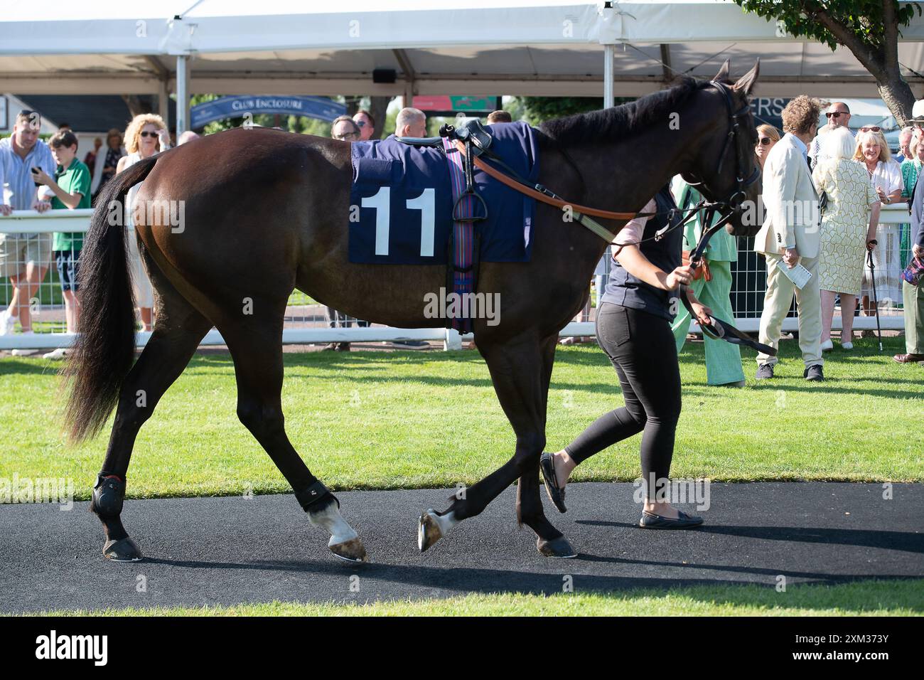 Windsor, Berkshire, UK. 22nd July, 2024. Horse Dark Sorceress in the ...
