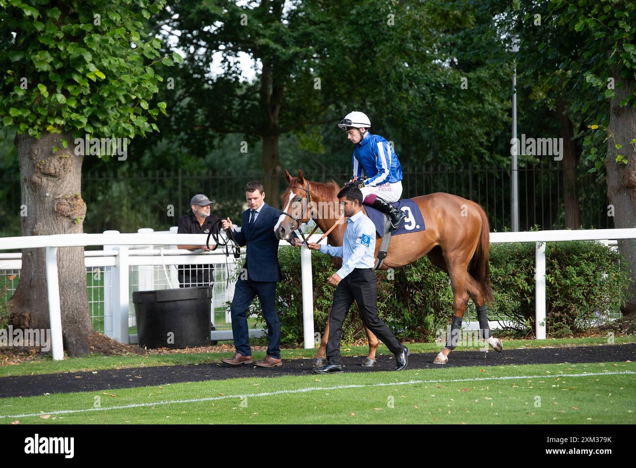 Star of mehmas hi-res stock photography and images - Alamy