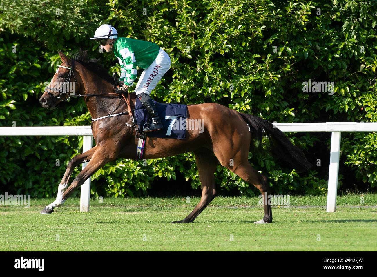 Owner mr zhang yuesheng hi-res stock photography and images - Alamy