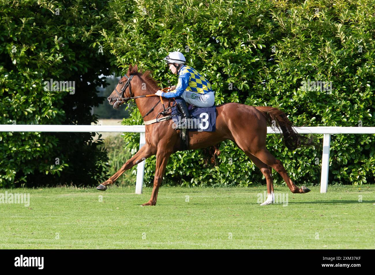 Breeder mr j c whyte hi-res stock photography and images - Alamy