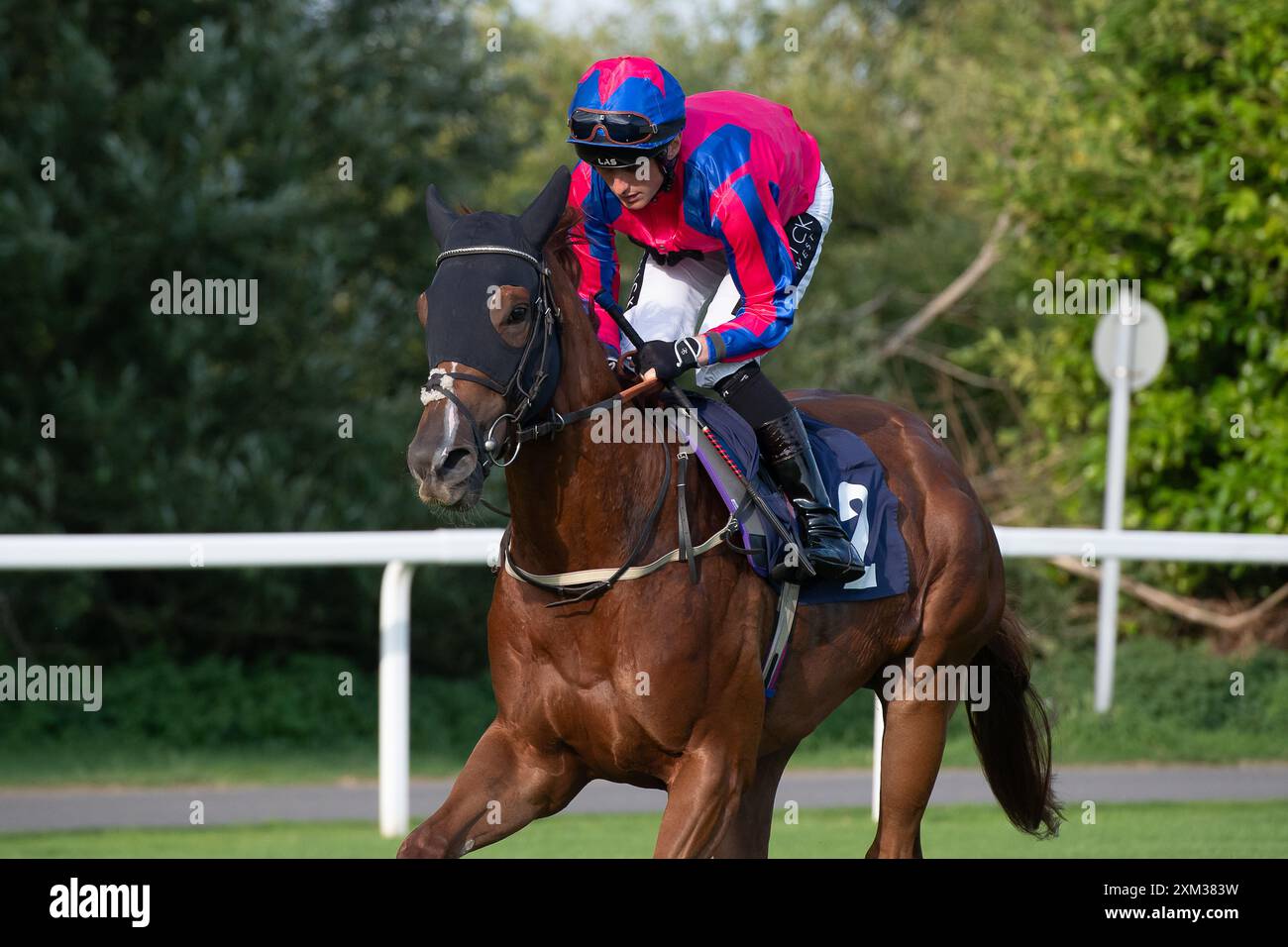 Trainer sheena west hi-res stock photography and images - Alamy