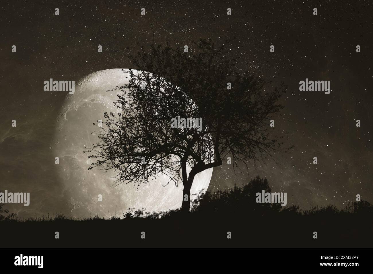 Artistic night photo moon hi-res stock photography and images - Alamy